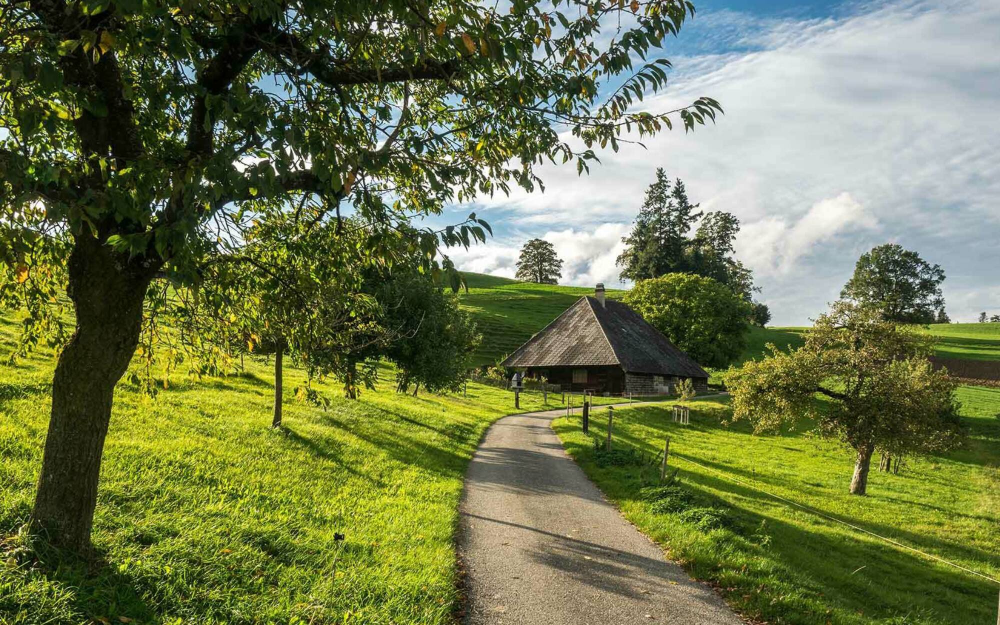 Die schönsten Apfel-Höfe im Alten Land | Genuss-Guide