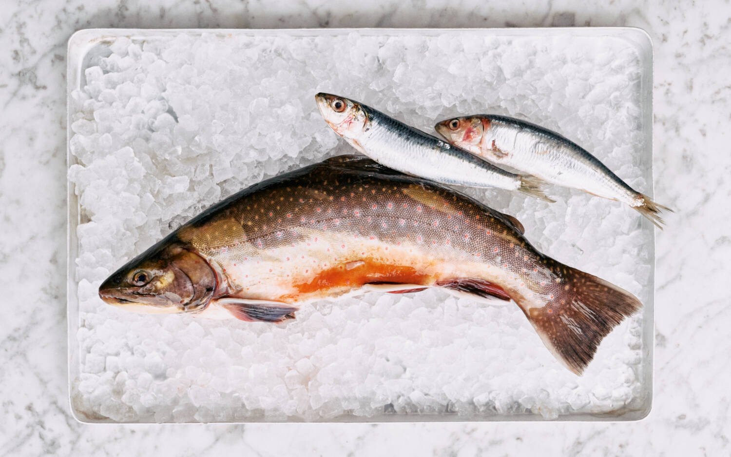 10 grandiose Fischrestaurants in Hamburg | Genuss-Guide