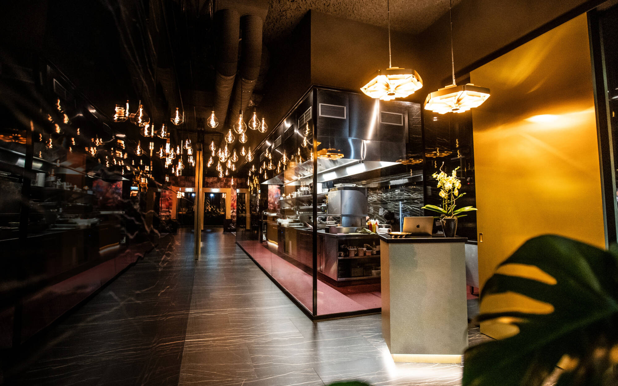 Tyo Tyo: Ein Blick auf kulturelle Vielfalt in der Küche | Genuss-Guide